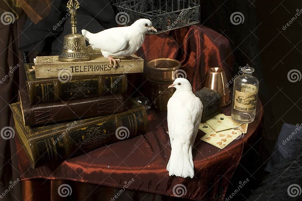 Witte duiven stock foto. Image of fles, duif, inhoud - 33606258