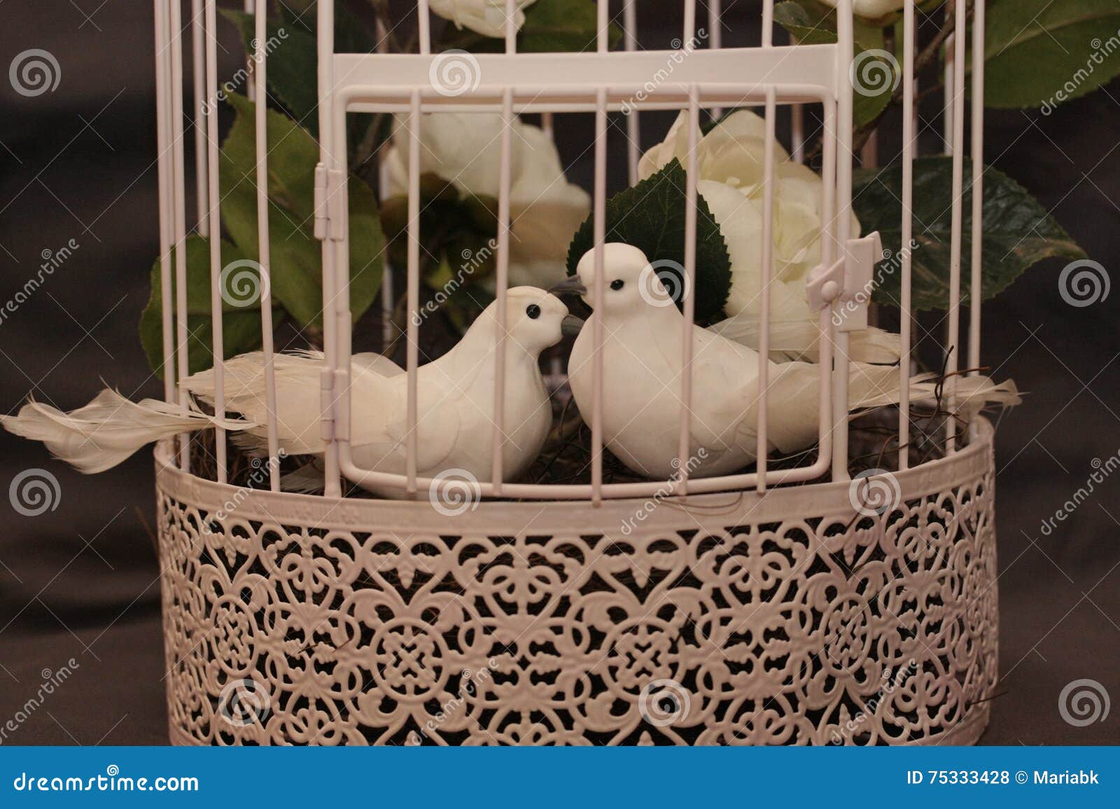 Witte Duiven in Liefde in Een Kooi Stock Foto - Image of samen, gemaakt ...