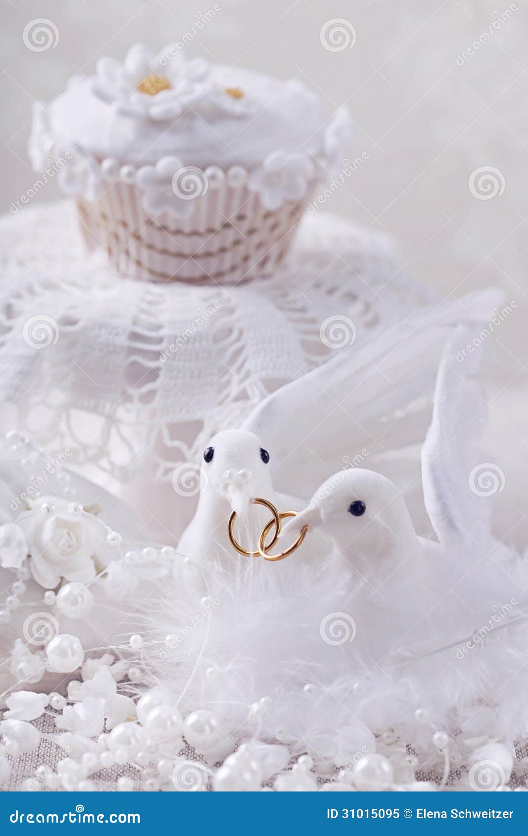 Witte duiven met ringen stock afbeelding. Image of heerlijk - 31015095