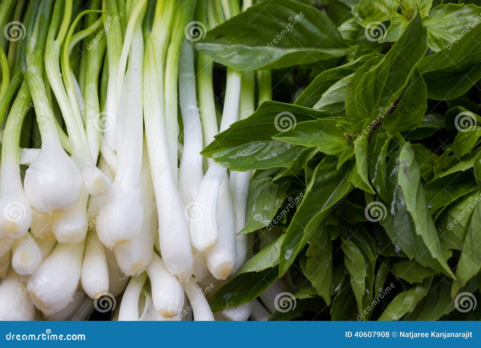 Witte en groene groente stock foto. Image of kool, maaltijd - 40607908