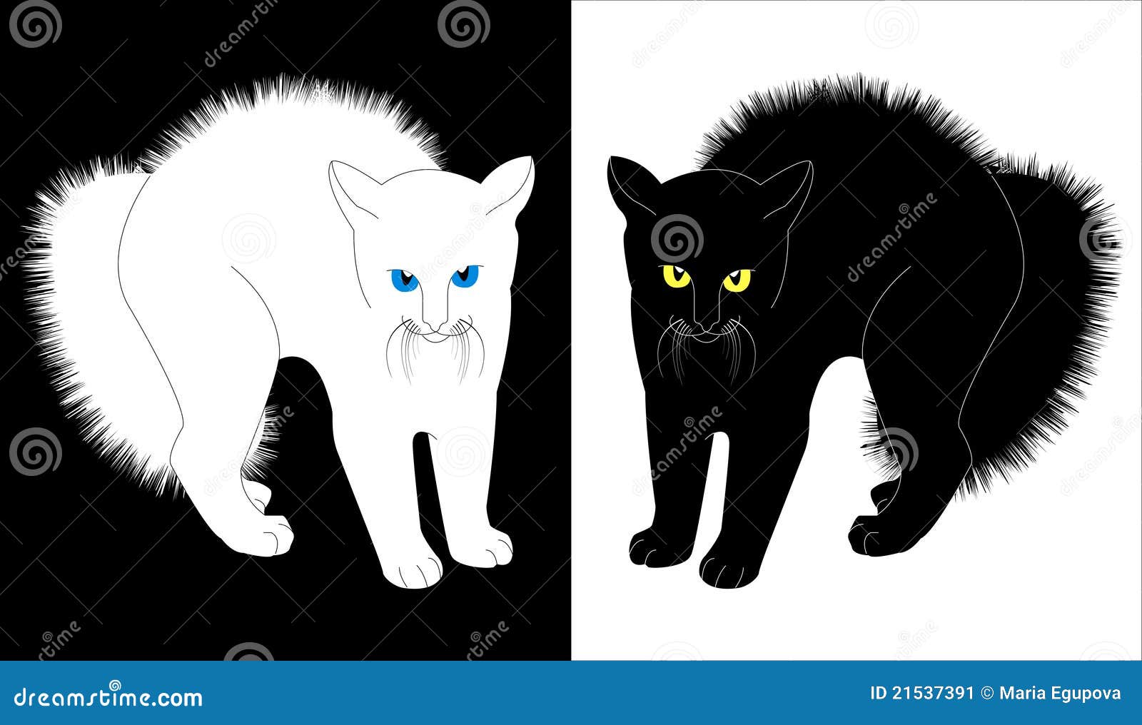 Witte en zwarte katten vector illustratie. Illustration of staart ...