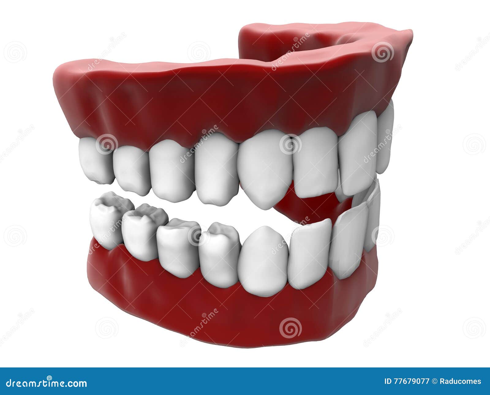 Witte gebitillustratie stock illustratie. Illustration of pret - 77679077