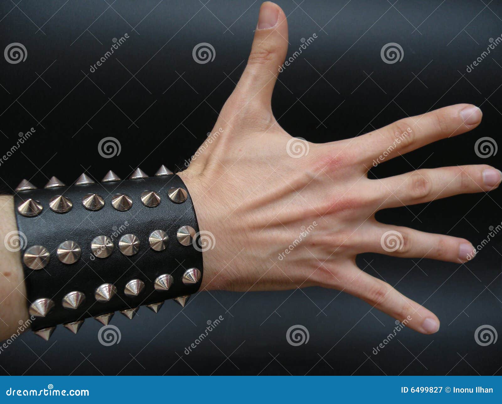 Witte Hand Picture. Image: 6499827