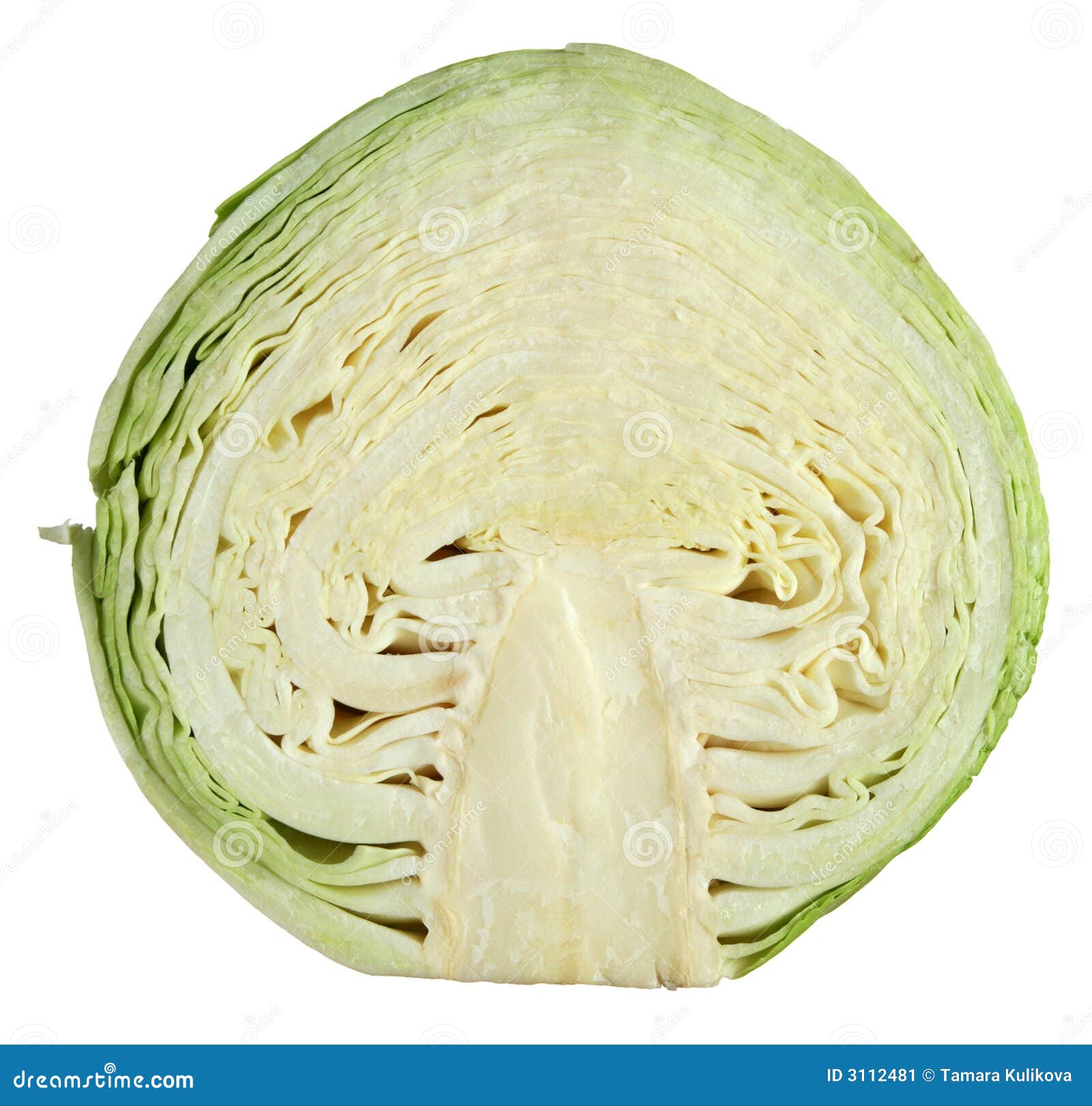 Witte Kool Die in De Helft Wordt Gesneden Stock Afbeelding - Image of ...