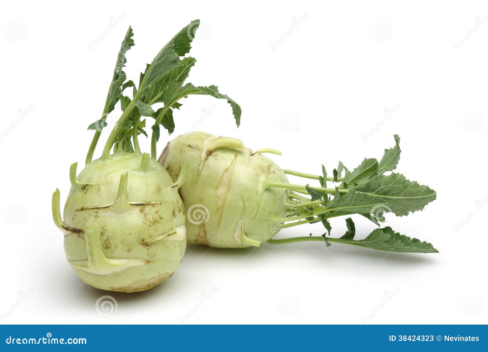 Witte koolraap stock afbeelding. Image of landbouwbedrijf - 38424323