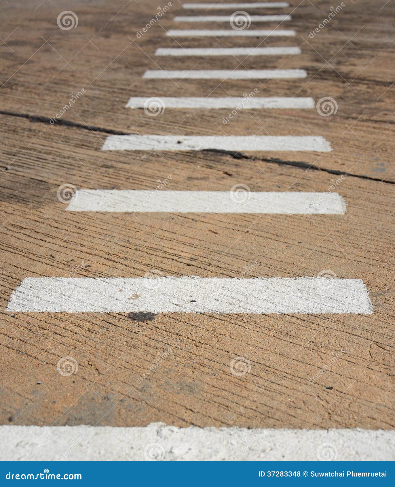 Witte lijn op betonweg stock foto. Image of grijs, mortier - 37283348