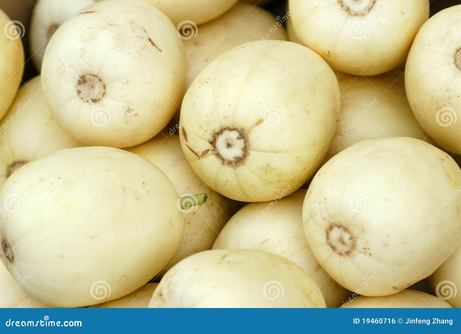 Witte meloen stock foto. Image of vers, meloenen, velen - 19460716