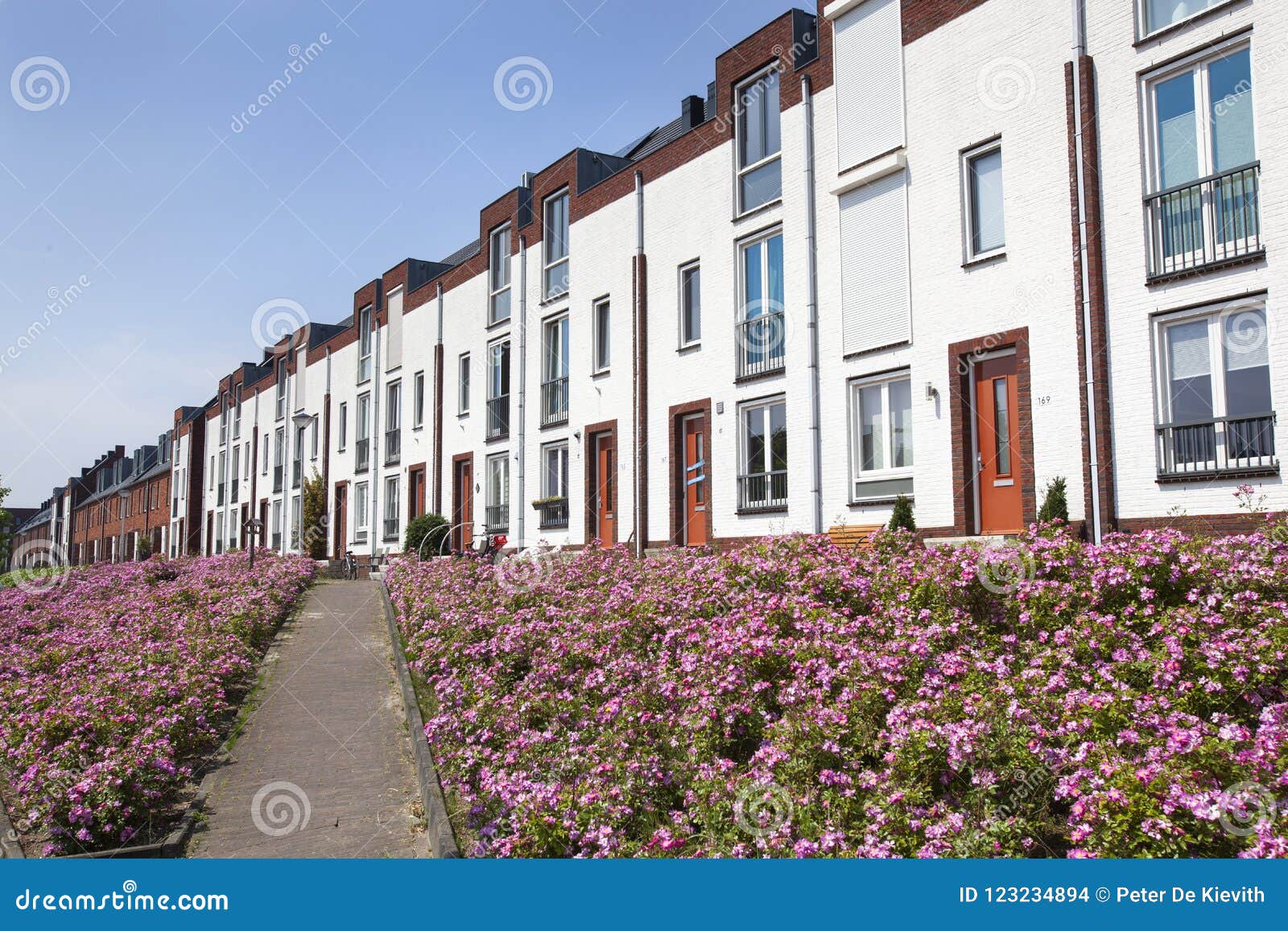 Witte Moderne Huizen Op Een Rij Stock Foto - Image of gebouw, blauw ...