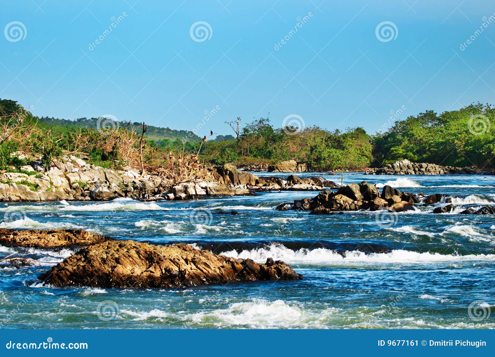 Witte Nijl stock afbeelding. Image of impetueus, afrika - 9677161