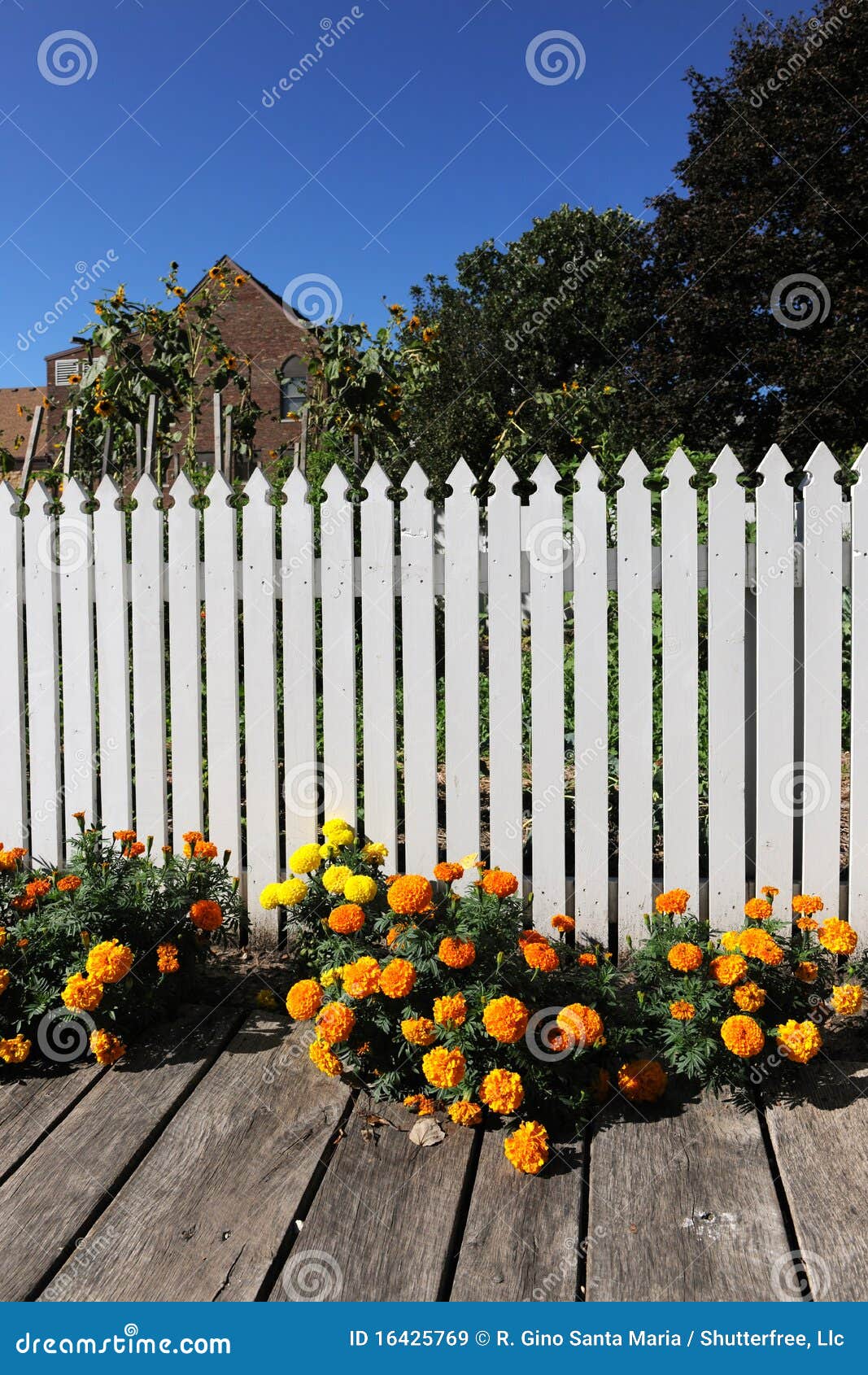 Witte Omheining en Tuin stock afbeelding. Image of lente - 16425769