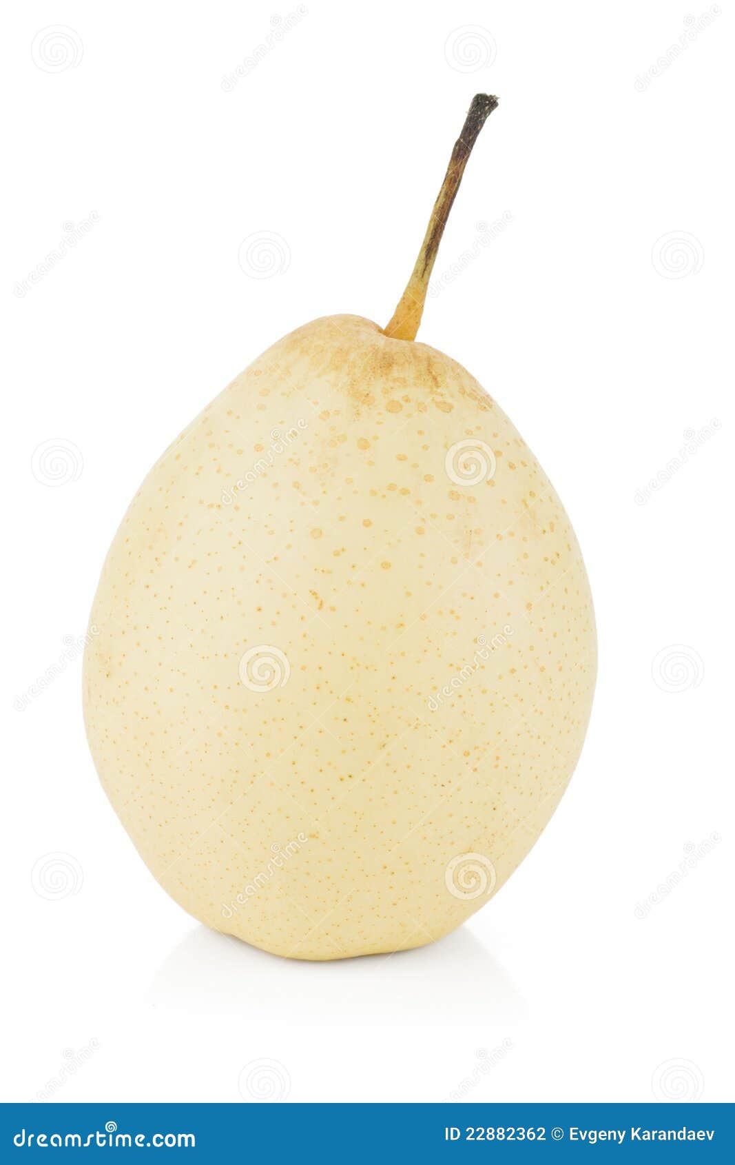 Witte peer stock foto. Image of naughty, vers, najaar - 22882362