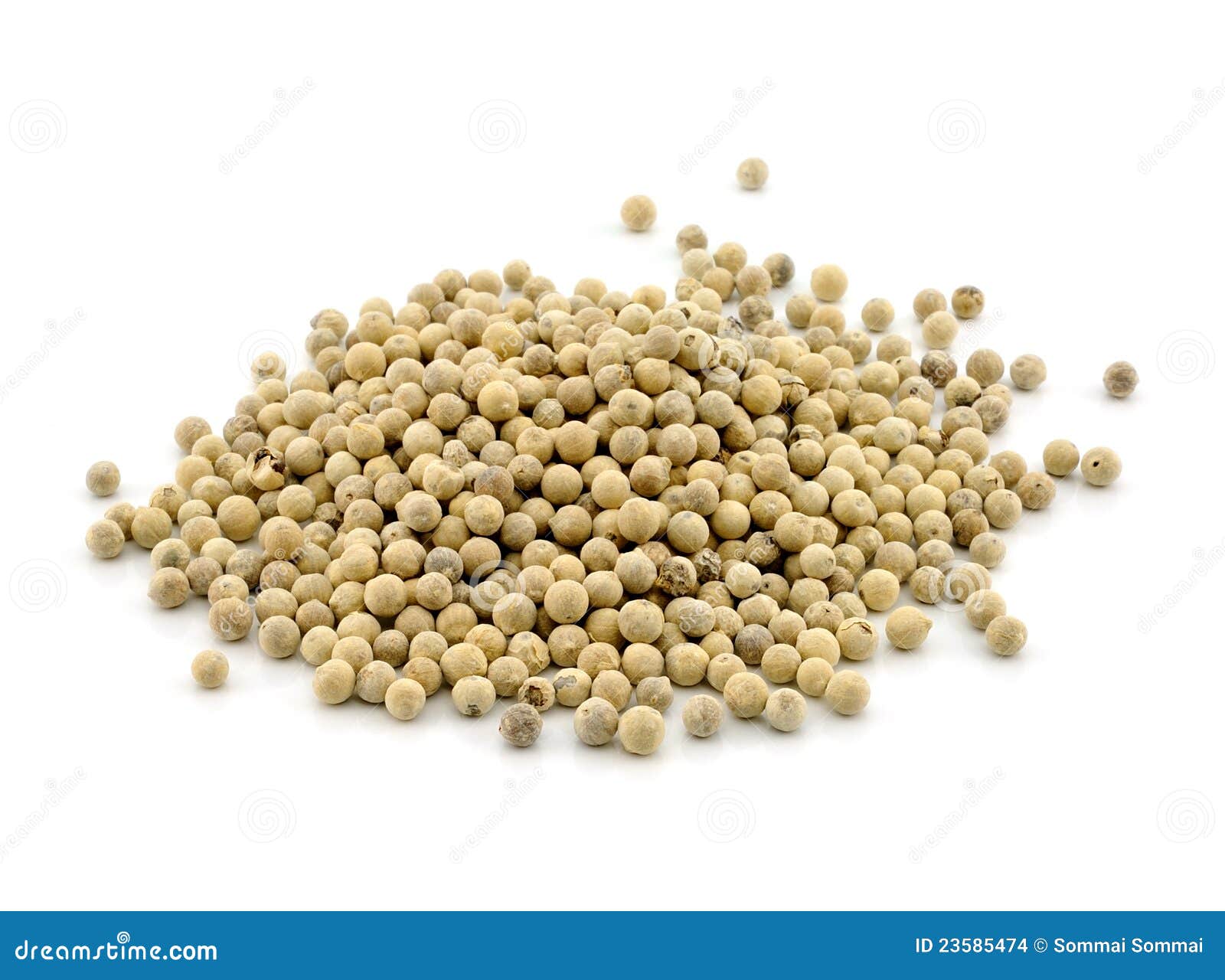 Witte peper stock foto. Image of peperbollen, macro, sluit - 23585474