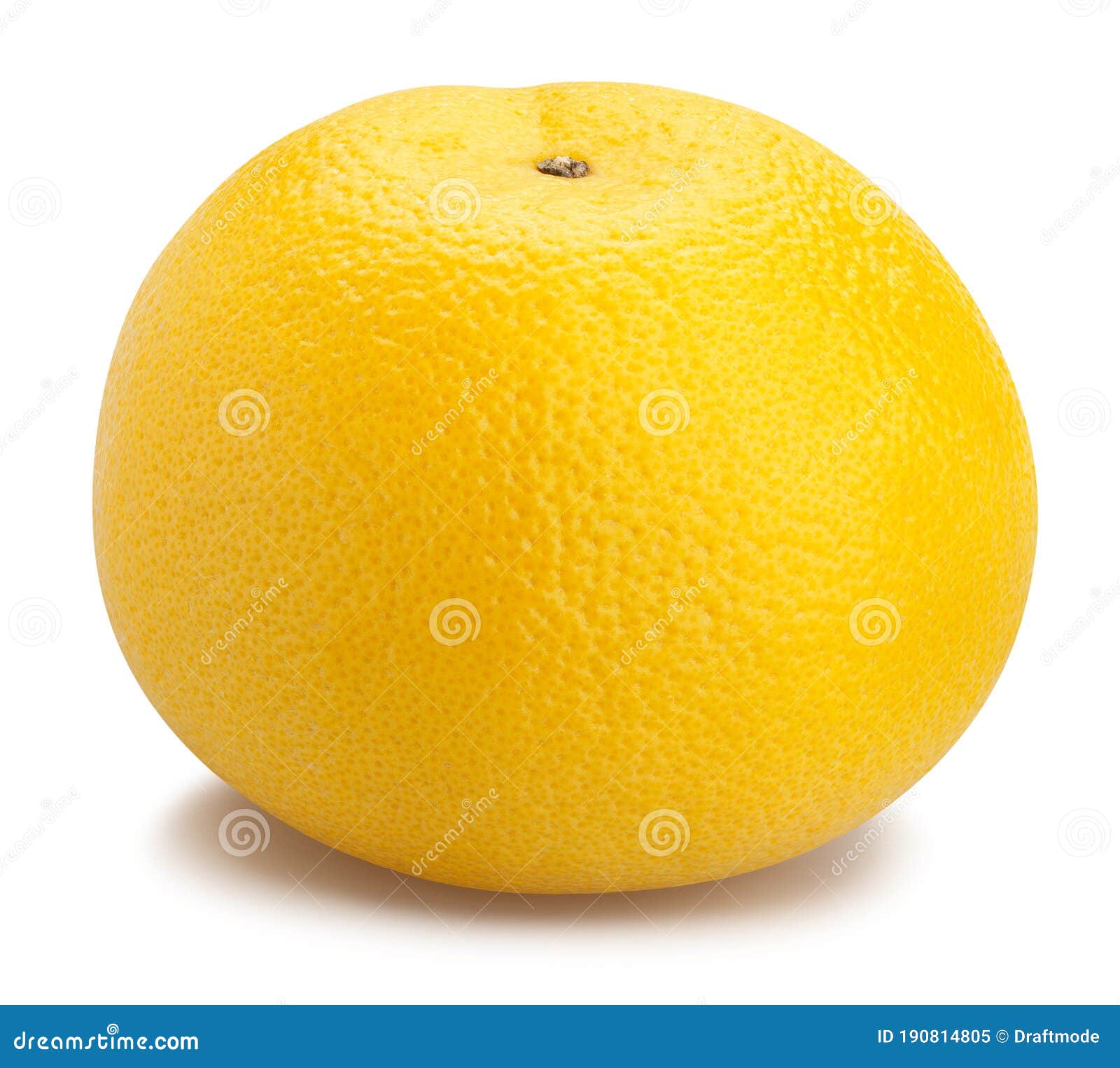 Witte pompelmoes stock afbeelding. Image of geïsoleerd - 190814805