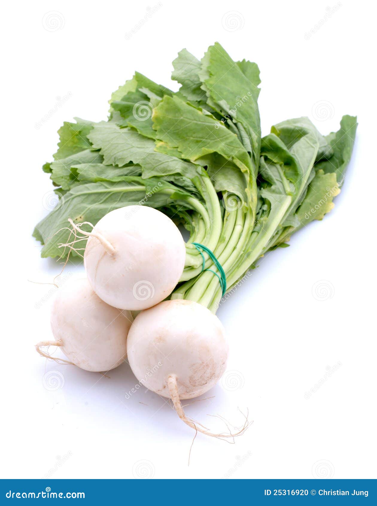 Witte radijs stock foto. Image of radijs, organisch, vegetariër - 25316920