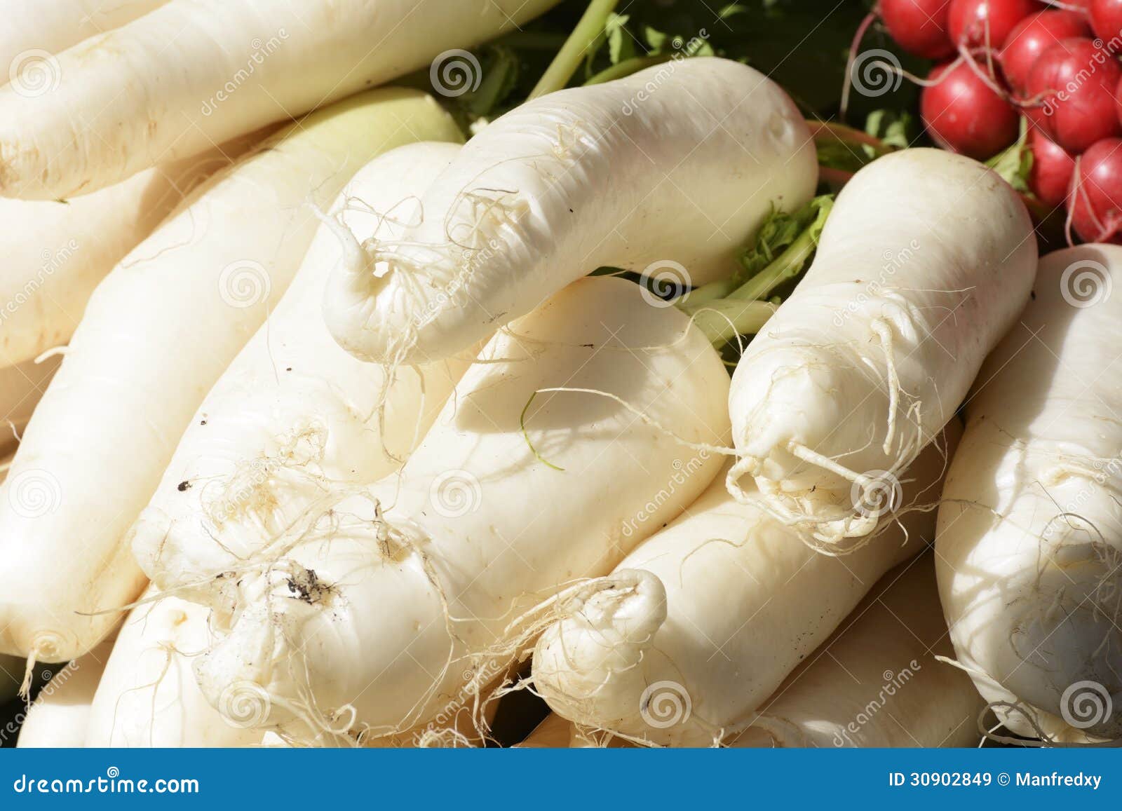 Witte Radijs stock afbeelding. Image of wortel, markt - 30902849