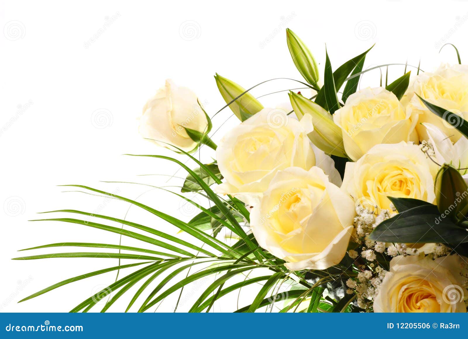 Witte rozen stock foto. Image of boeket, bloemblaadje - 12205506