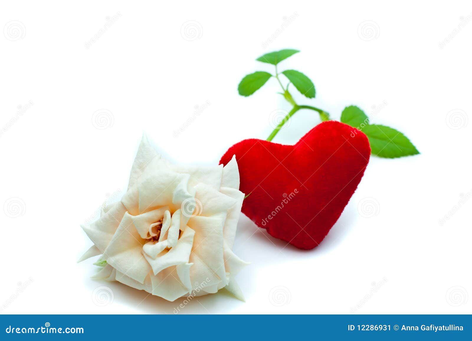 Witte rozen en rood hart stock afbeelding. Image of liefde - 12286931