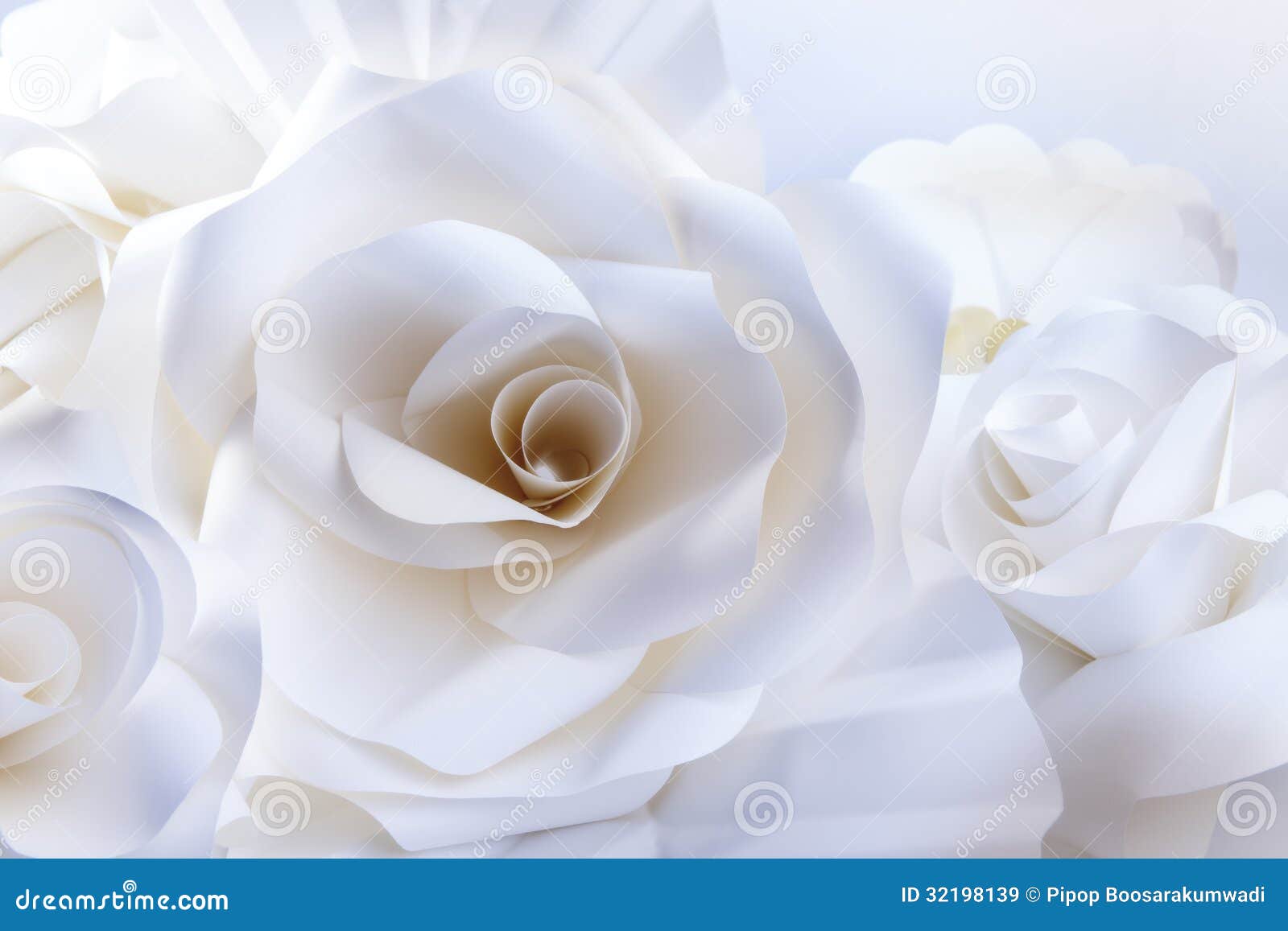 Witte Rozen Op Witte Achtergrond. Stock Afbeelding - Image of ...