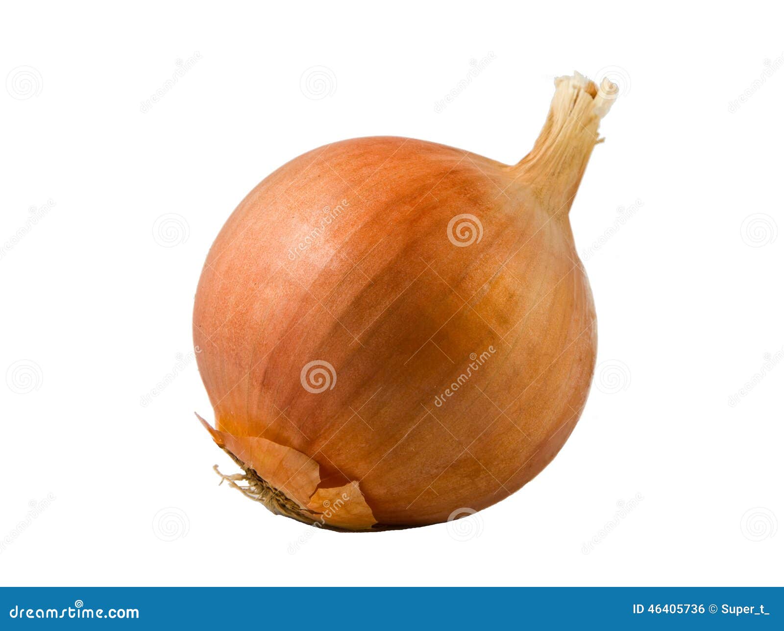 Witte ui stock foto. Image of groep, oogst, organisch - 46405736