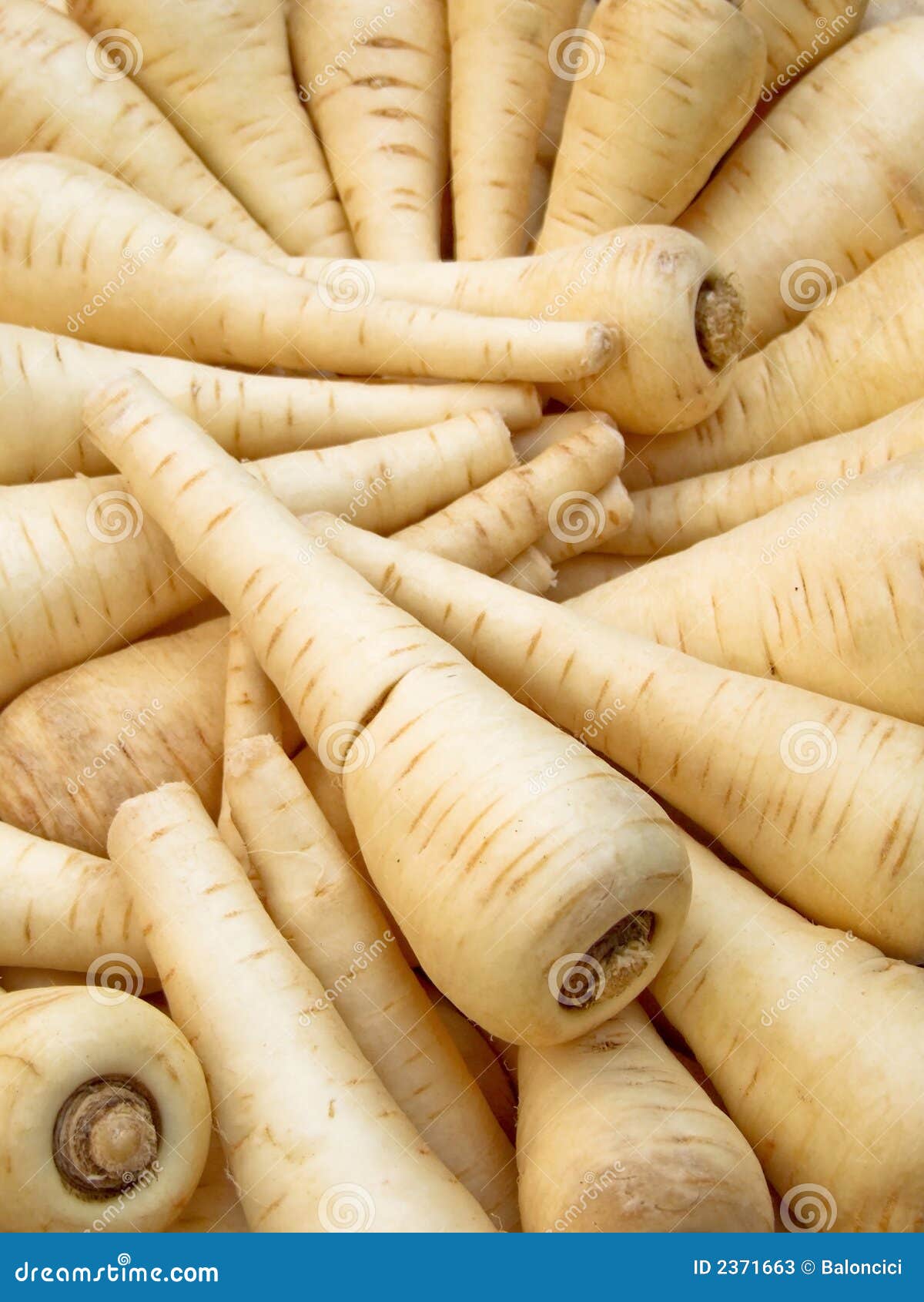 Witte wortel stock afbeelding. Image of vitamine, voeding - 2371663