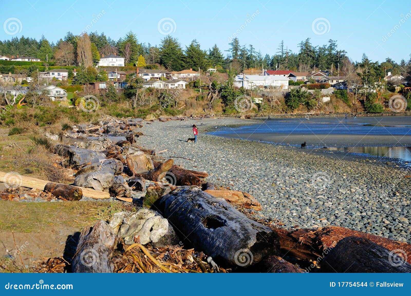 Witty S Lagoon Regional Park Stock Photo - Image of seafront, people ...