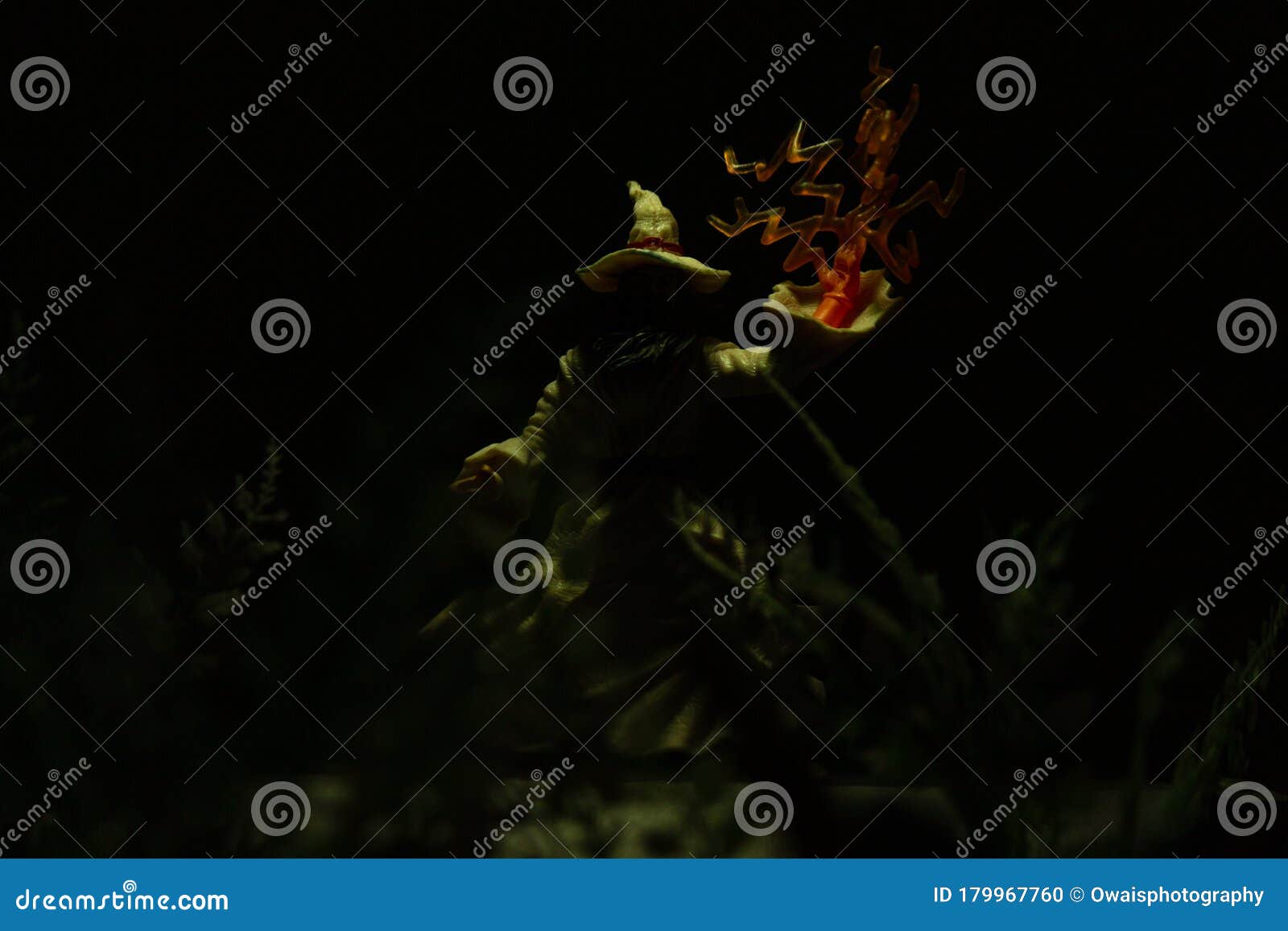 Wizard in a jungle stock photo. Image of elderly, chrystal - 179967760