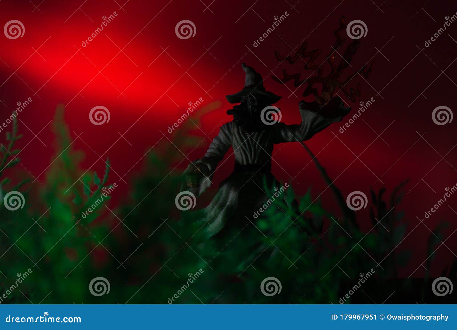 Wizard in a jungle stock image. Image of portrait, magical - 179967951