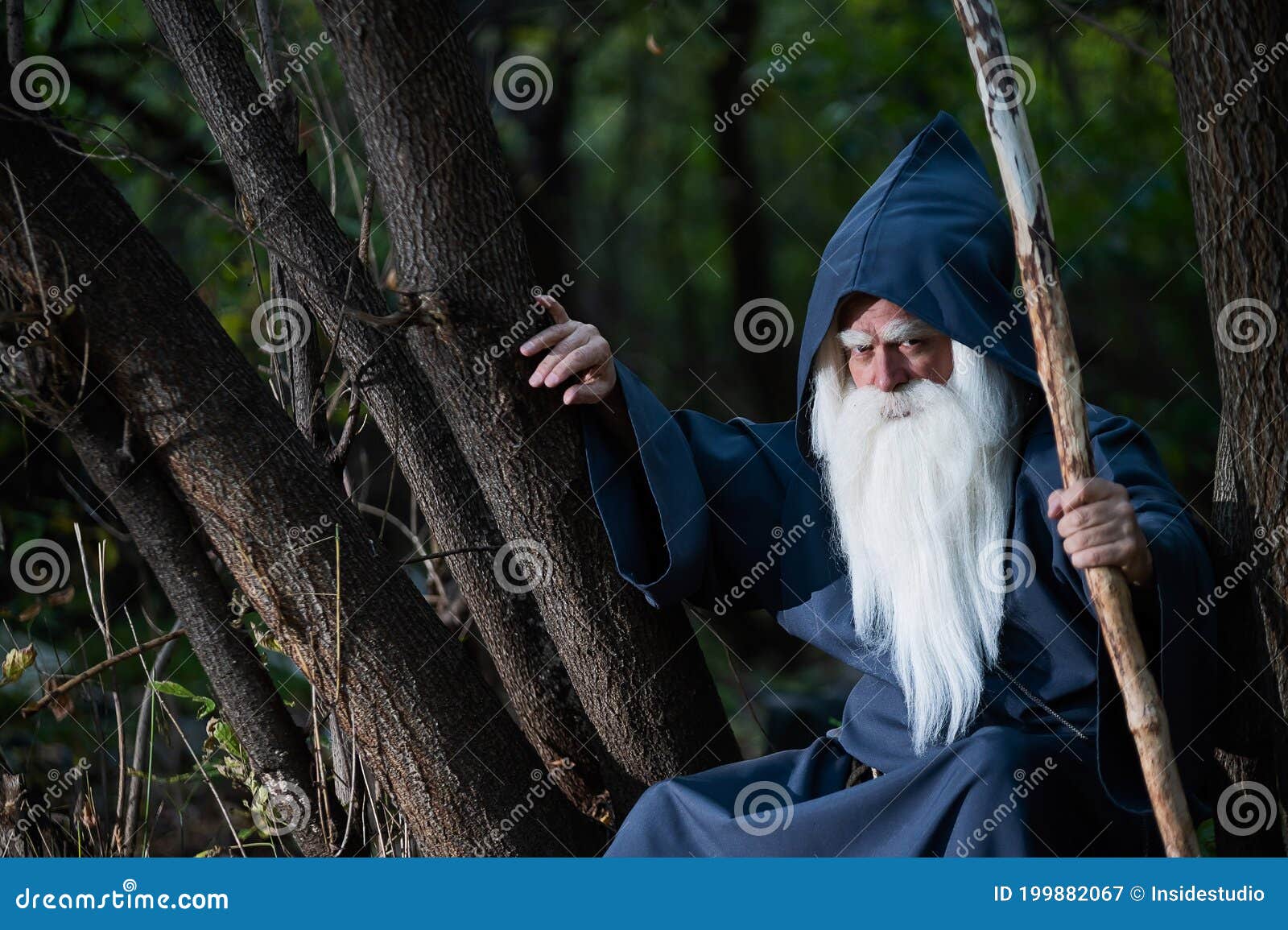 A Wizard with a Long Gray Beard and a Cloak in a Deep Forest. an ...