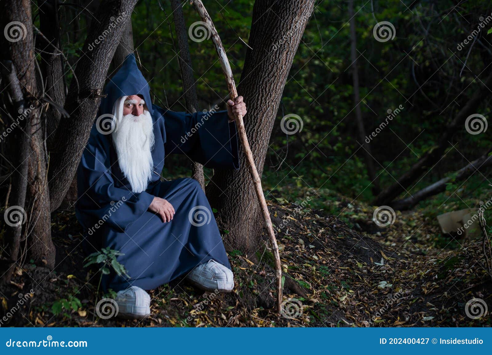 A Wizard with a Long Gray Beard and a Cloak in a Deep Forest. an ...