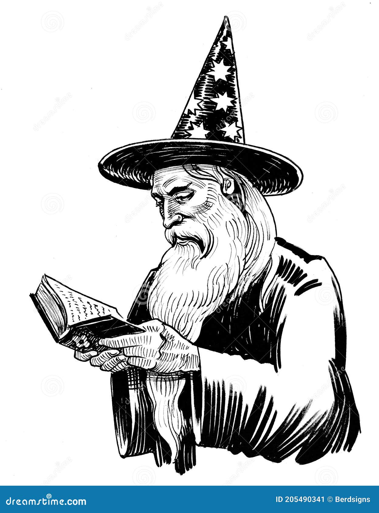 Wizard reading a book stock illustration. Illustration of white - 205490341