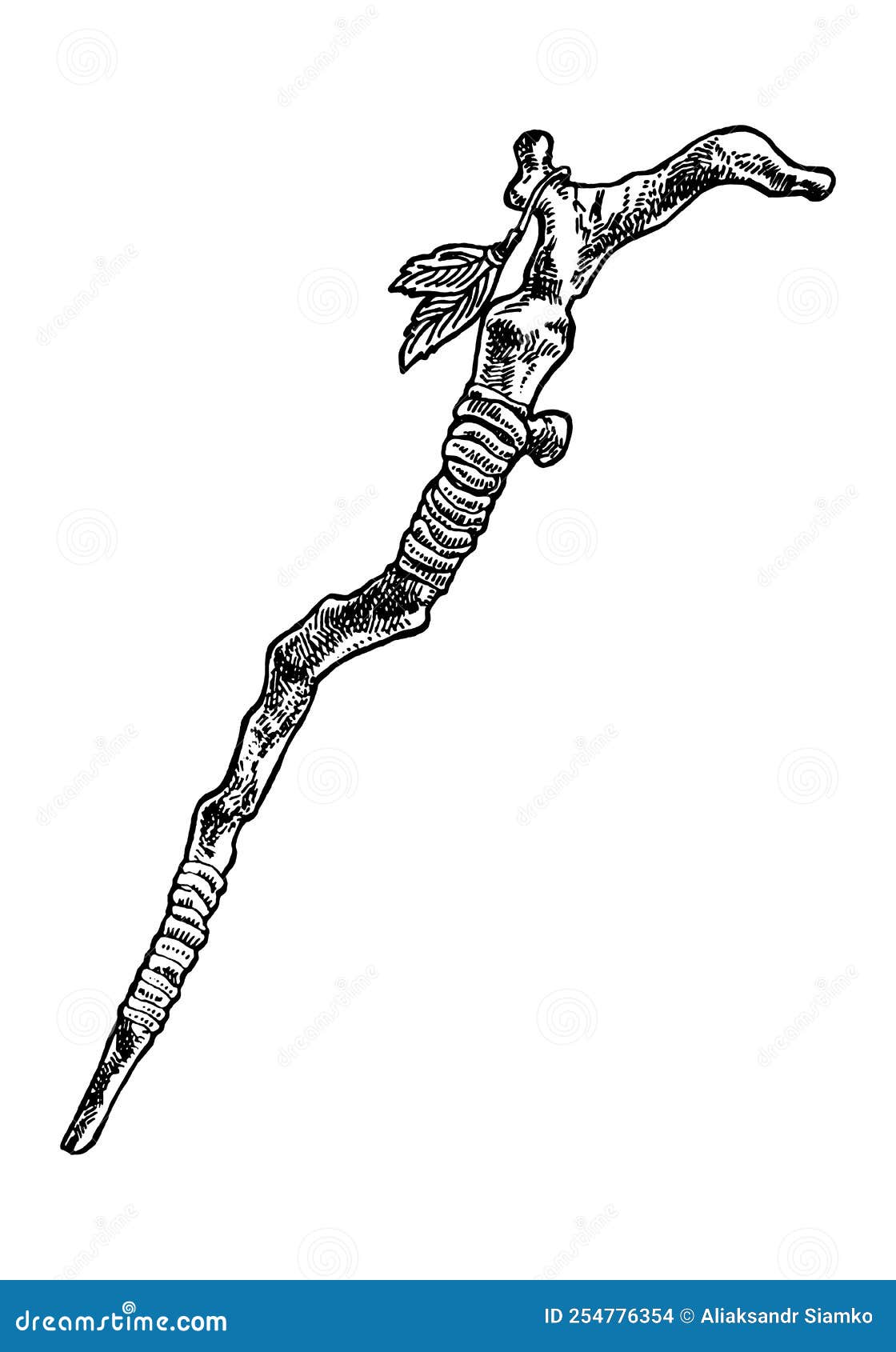Wizard Holding Staff Drawing