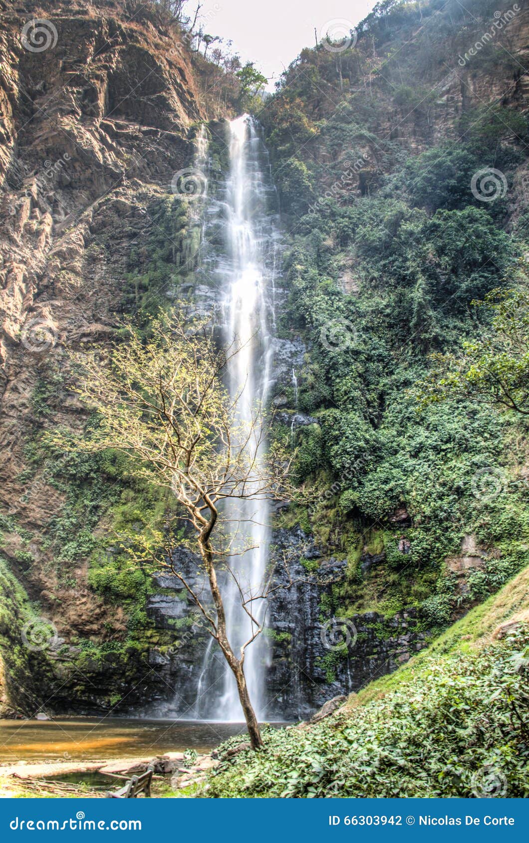Wli Waterfall in the Volta Region in Ghana Stock Photo - Image of ...