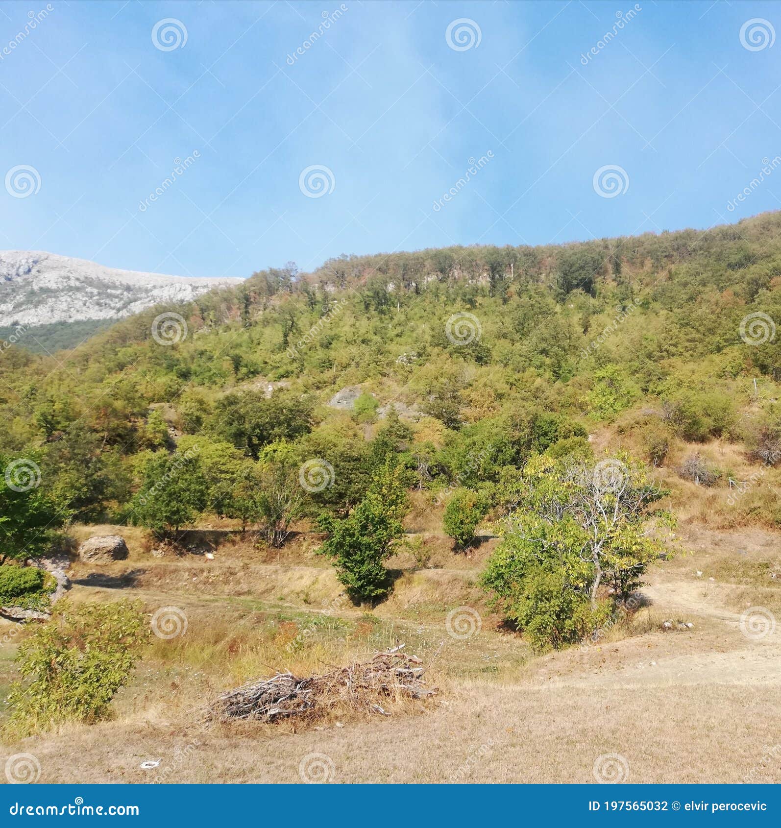 Wlid beaut nature stock photo. Image of adventure, nature - 197565032