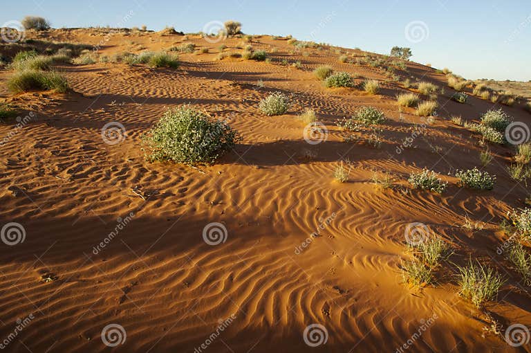 Woestijn stock afbeelding. Image of woestijn, rood, australië - 20229965