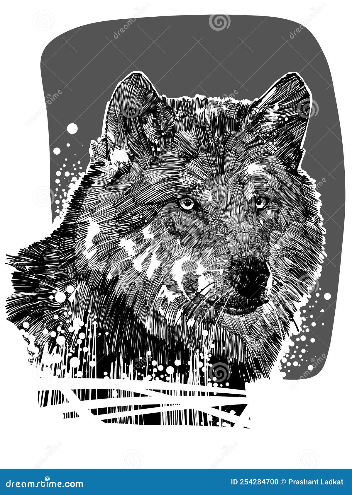 The Wolf - Back and White Illustration Stock Vector - Illustration of ...