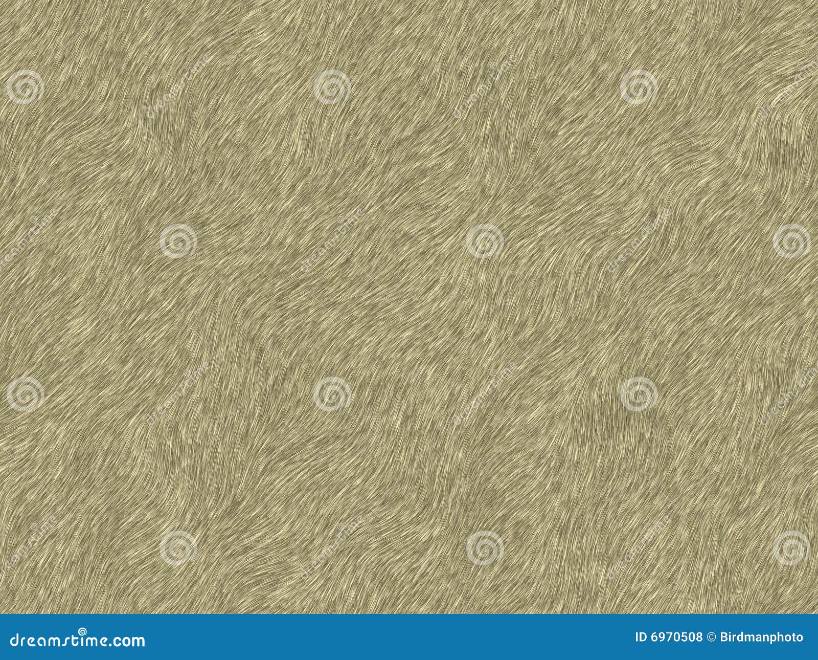 Wolf body texture stock illustration. Illustration of natural - 6970508