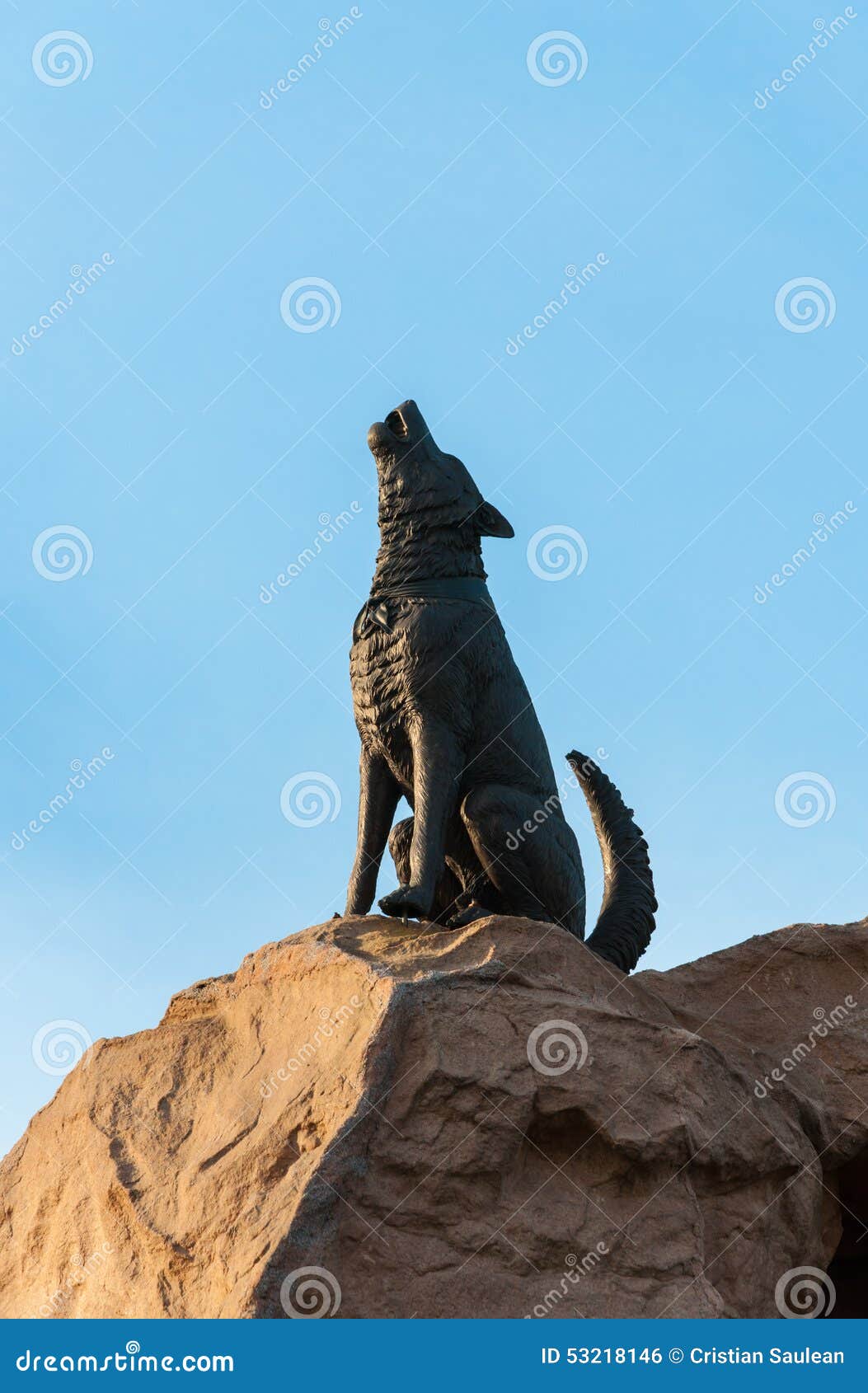Wolf bronze statue stock photo. Image of sculpture, white - 53218146