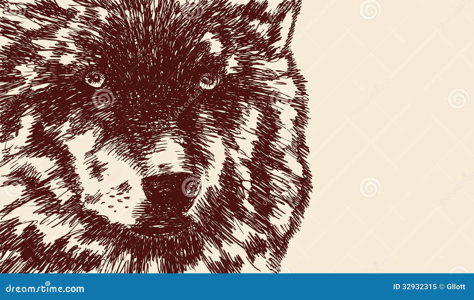 Wolf (canis lupus) muzzle stock vector. Illustration of head - 32932315