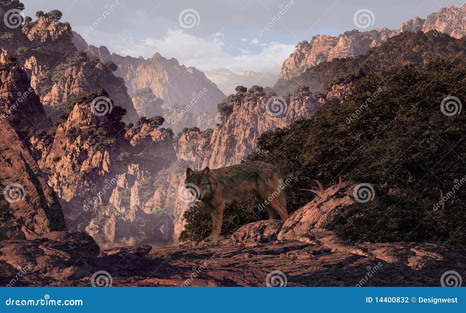 Wolf in the Canyon stock photo. Image of landscape, outdoors - 14400832