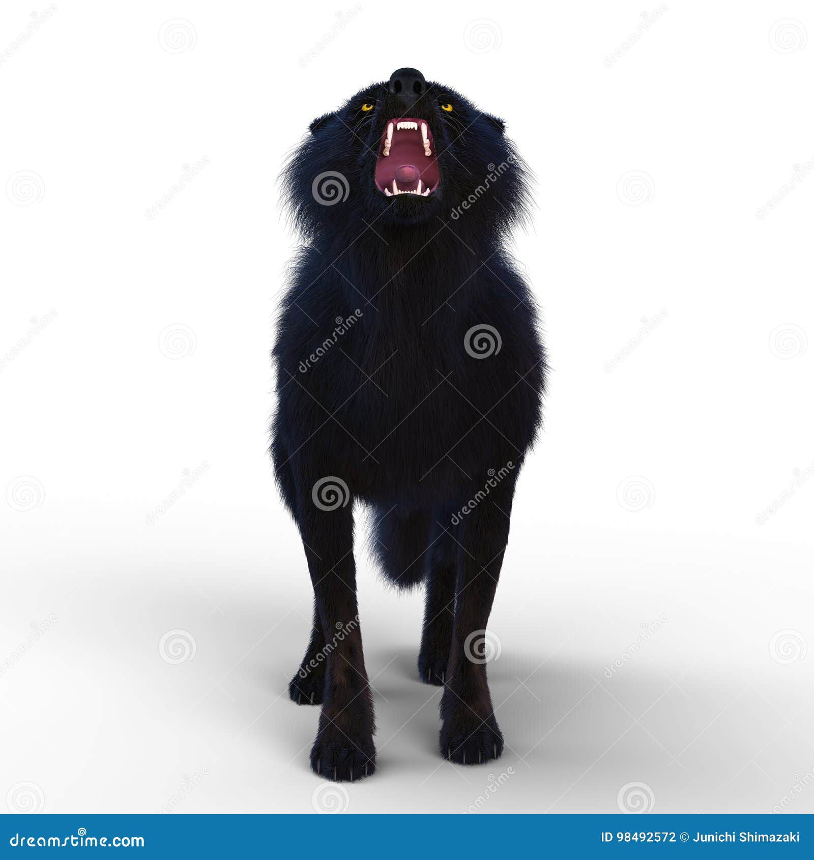 Wolf stock photo. Image of snout, background, wildlife - 98492572