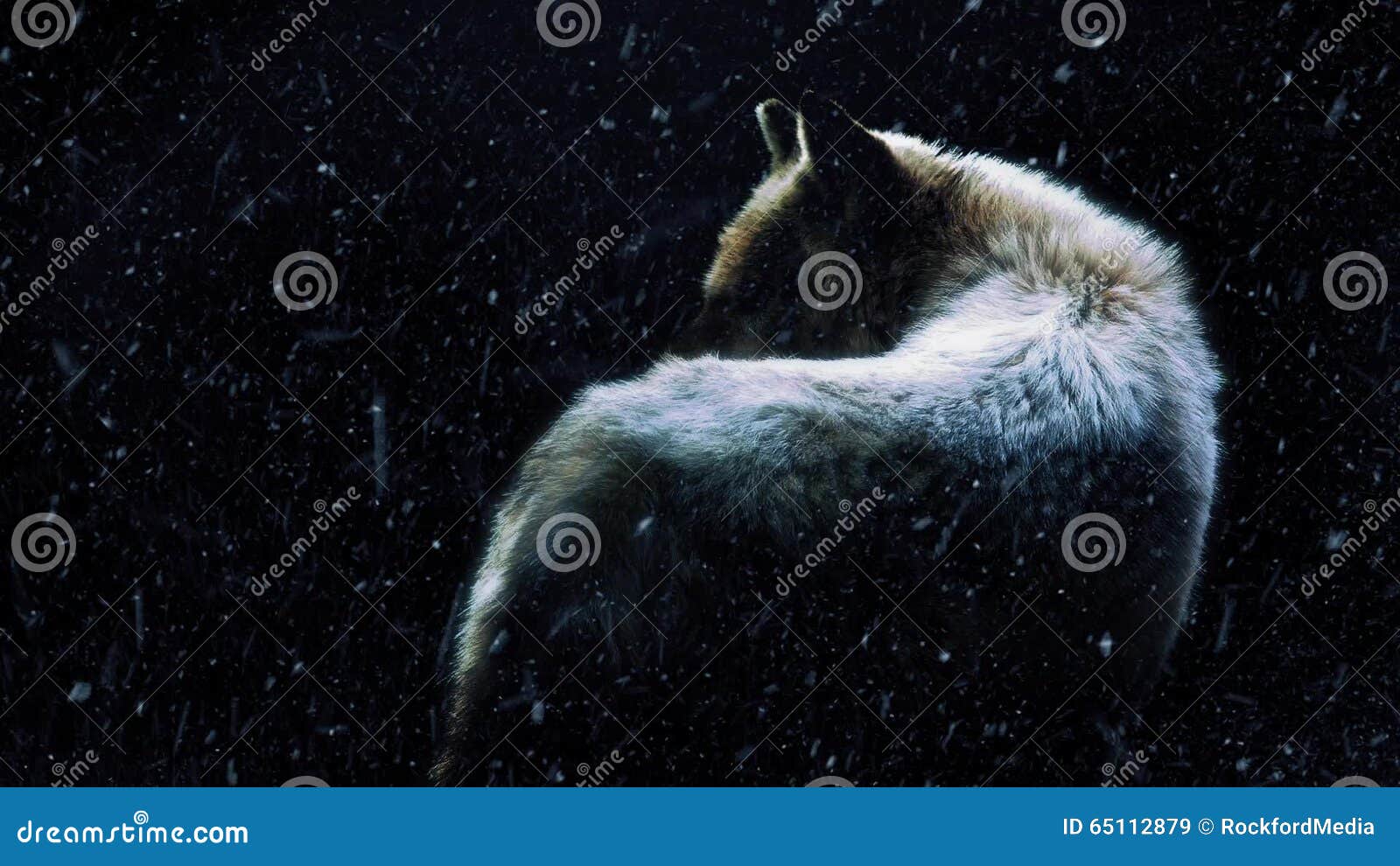 Falling Stock Footage & Videos - 72,936 Stock Videos