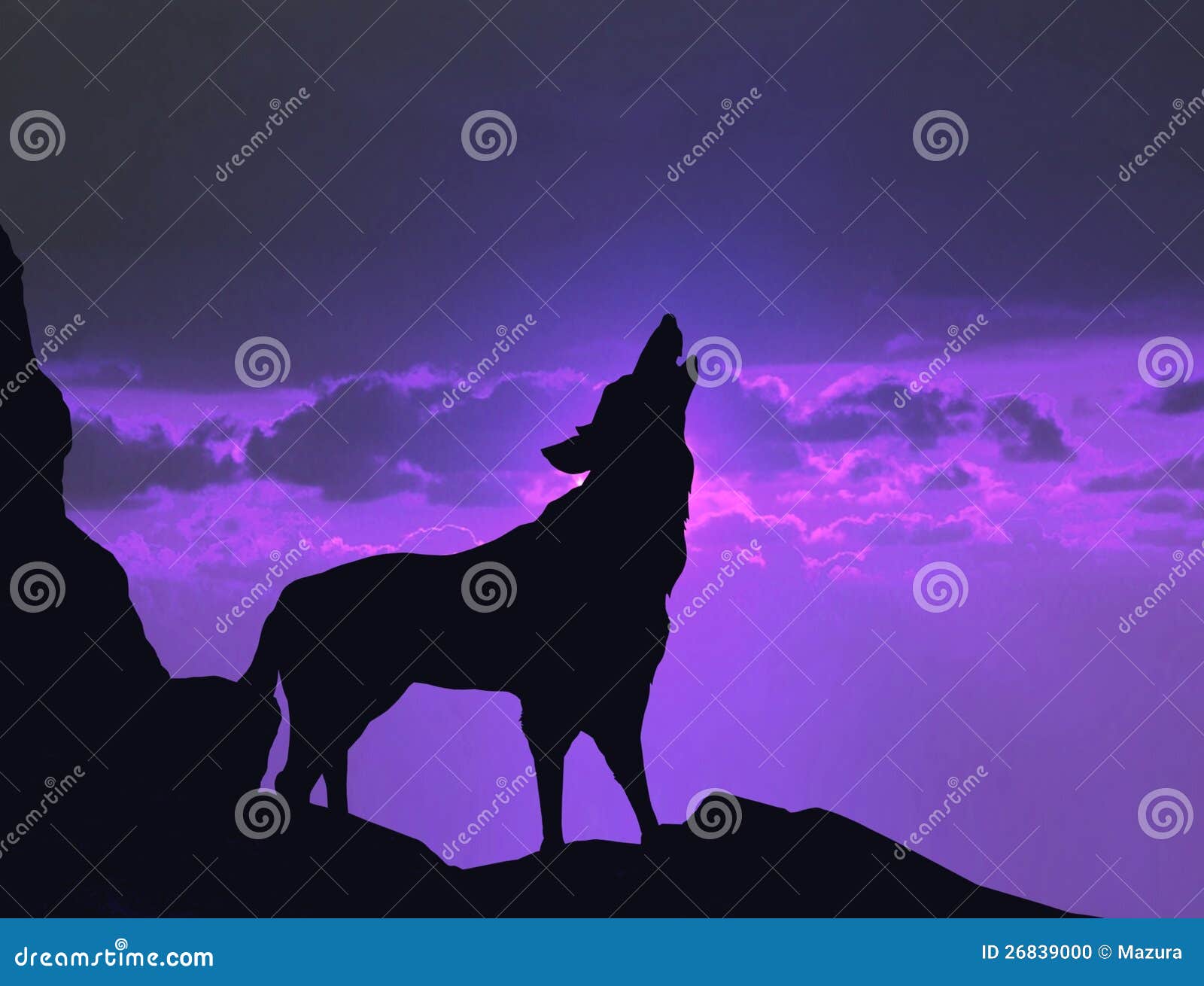 Wolf, Der Auf Einer Gebirgsklippe Heult Stockfoto - Bild von schwarzes ...