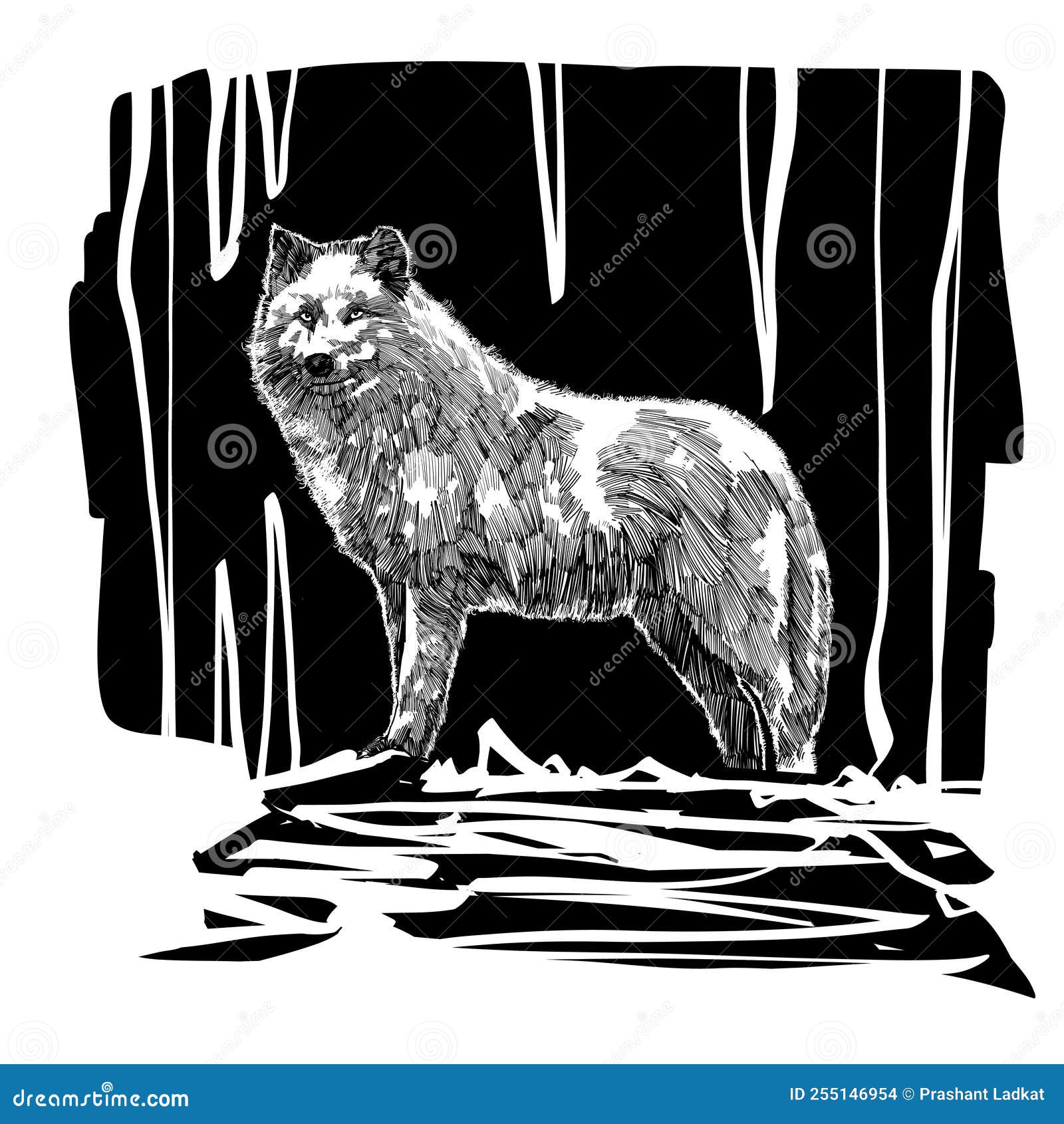 Wolf Drawing in a Vector Format. Stock Vector - Illustration of wolf ...