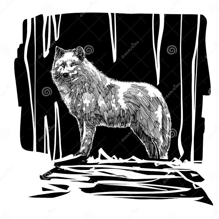 Wolf Drawing in a Vector Format. Stock Vector - Illustration of wolf ...