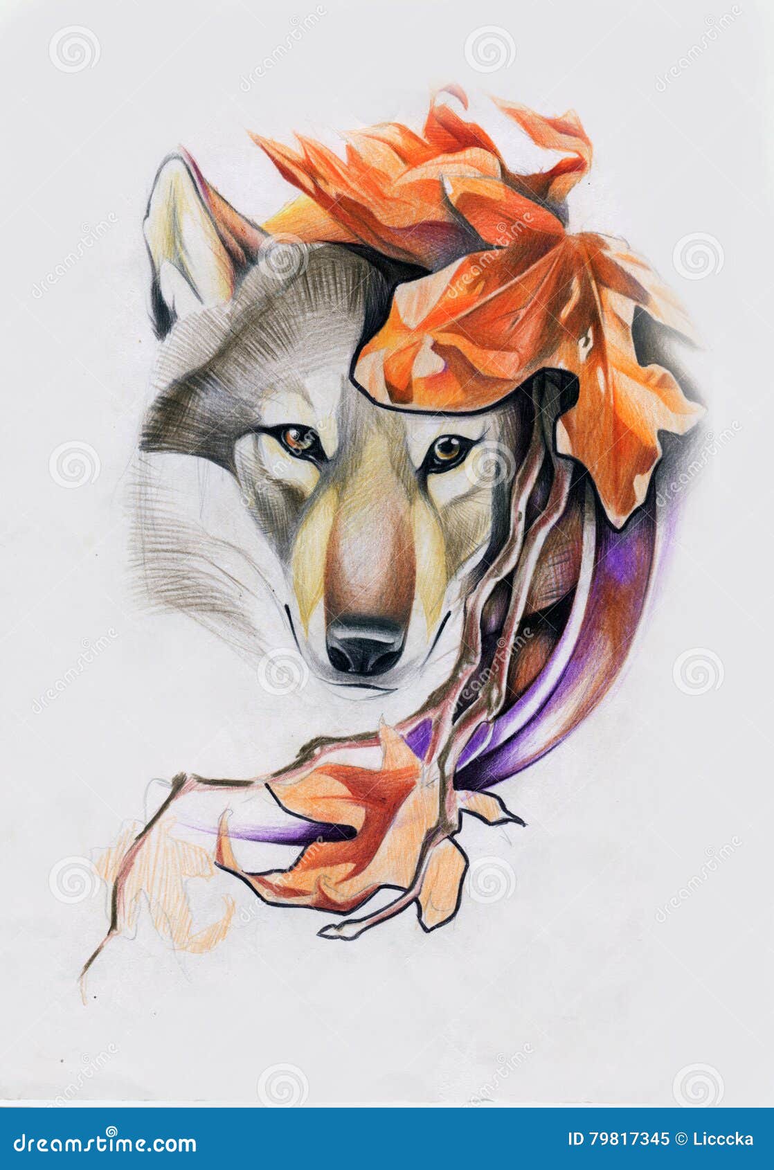 Wolf Drawn with a Pencil on Paper Stock Illustration - Illustration of ...