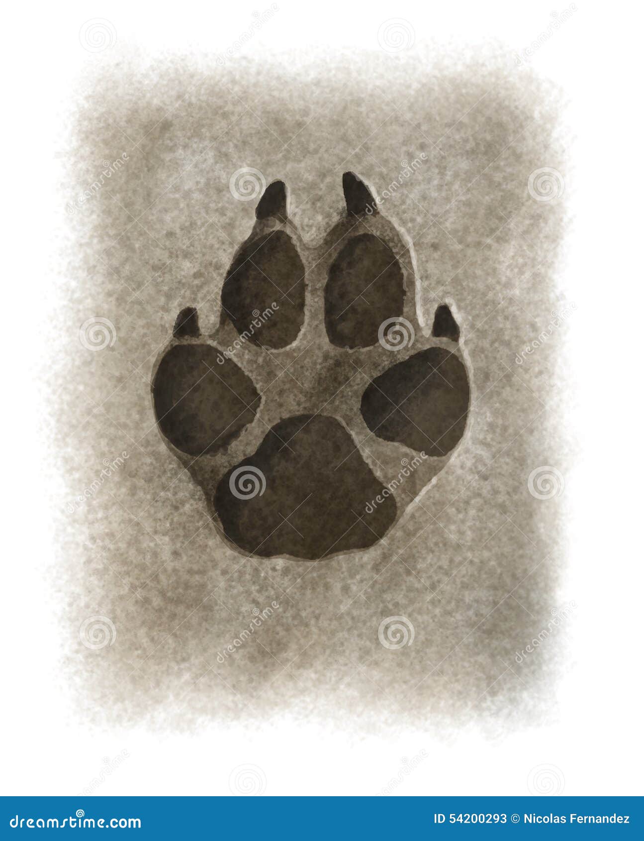 Wolf footprint stock illustration. Illustration of white - 54200293