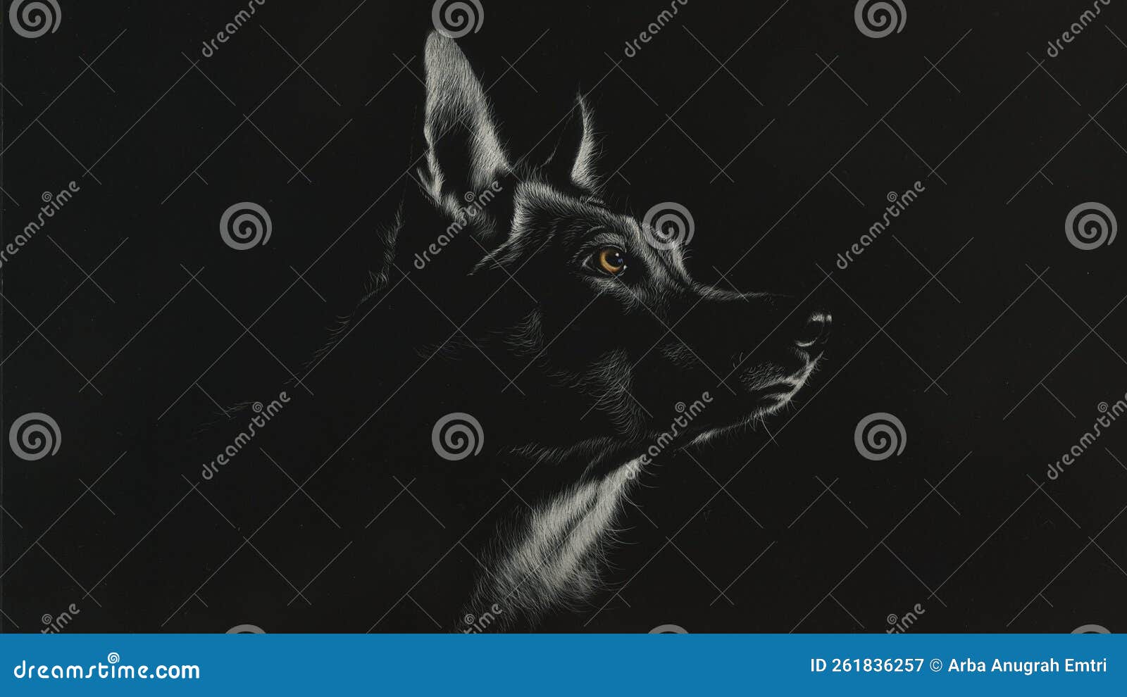 Wolf Gaze at Night stock illustration. Illustration of monochrome ...