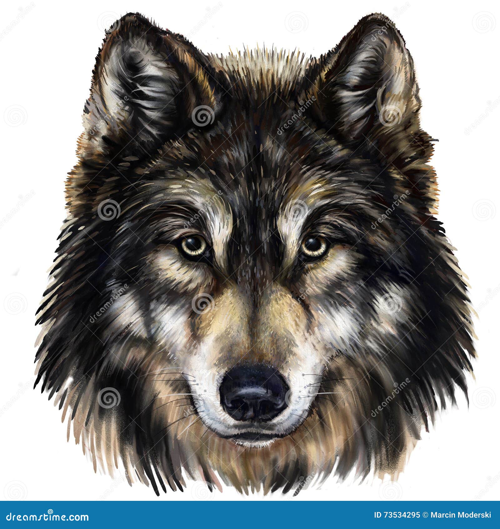 Wolf head stock illustration. Illustration of painting - 73534295