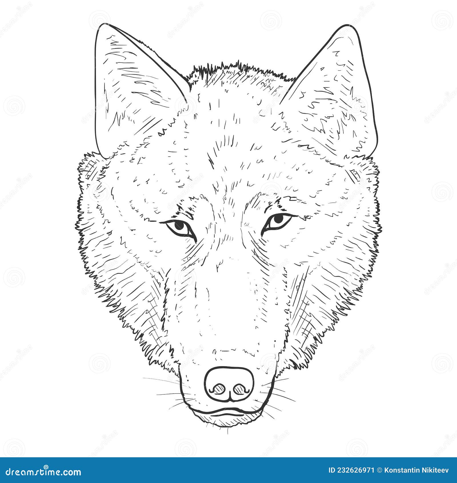 Wolf Head Vector Sketch Illustration Stock Vector - Illustration of ...