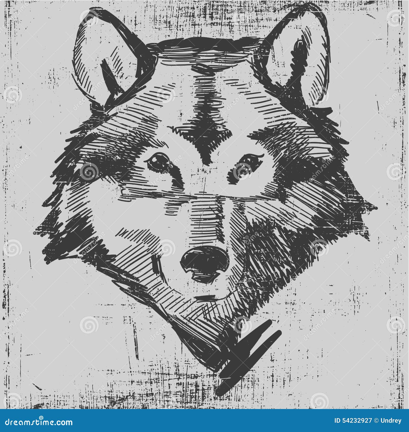 Wolf Head Hand Drawn Sketch Grunge Texture Stock Vector - Illustration ...